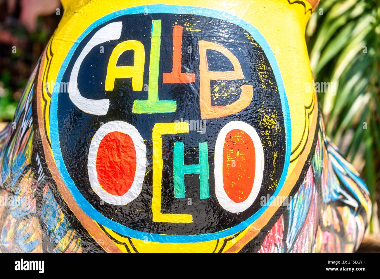 Miami rooster hi-res stock photography and images - Alamy
