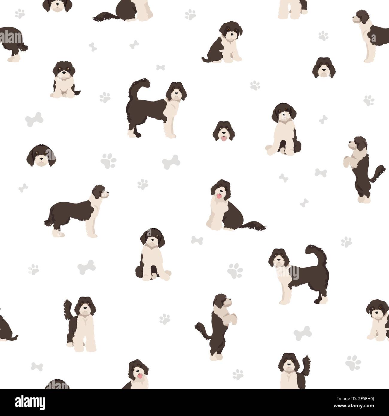 Labradoodle dog silhouette hi-res stock photography and images - Alamy