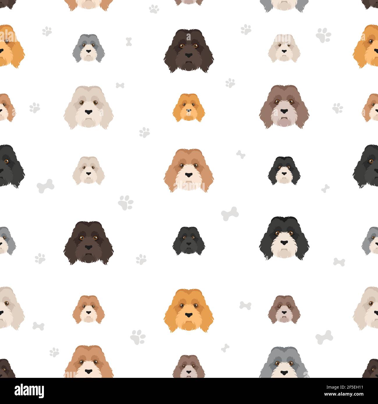 Labradoodle seamless pattern. Different poses, coat colors set. Vector ...