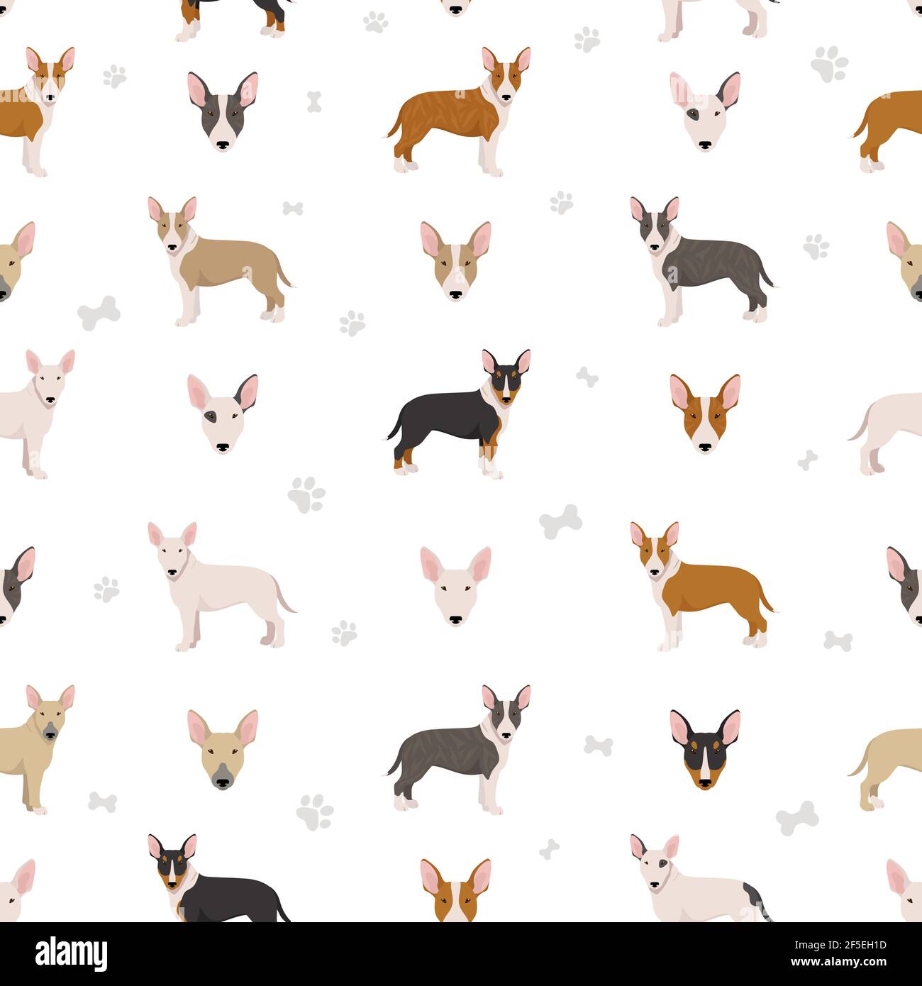 Bull terrier seamless pattern. Different poses, coat colors set. Vector ...