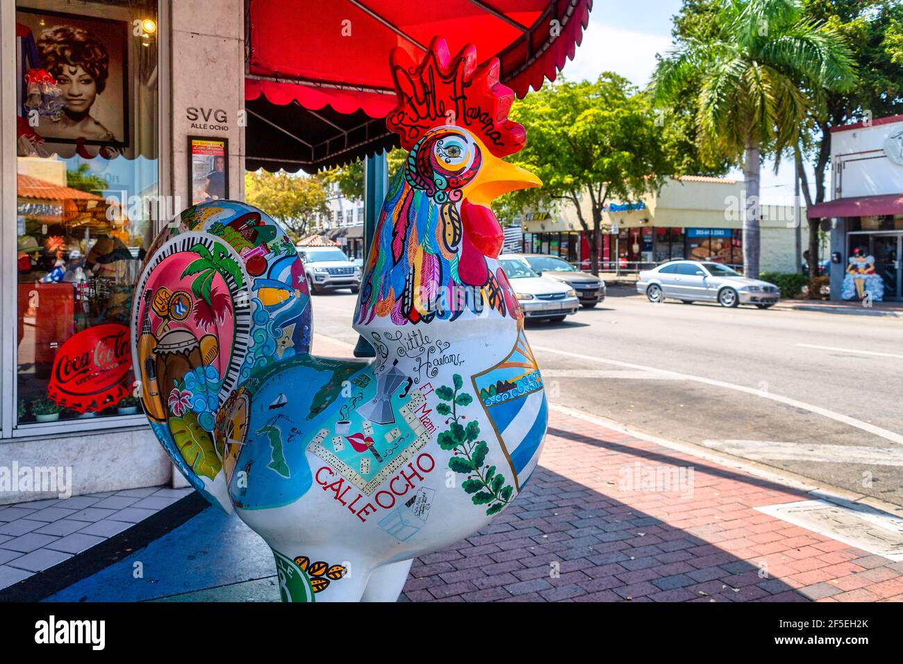 Miami rooster hi-res stock photography and images - Alamy