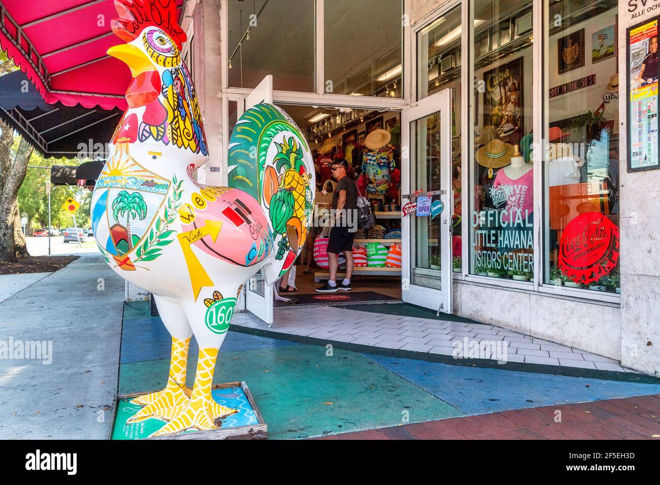 Miami rooster hi-res stock photography and images - Alamy