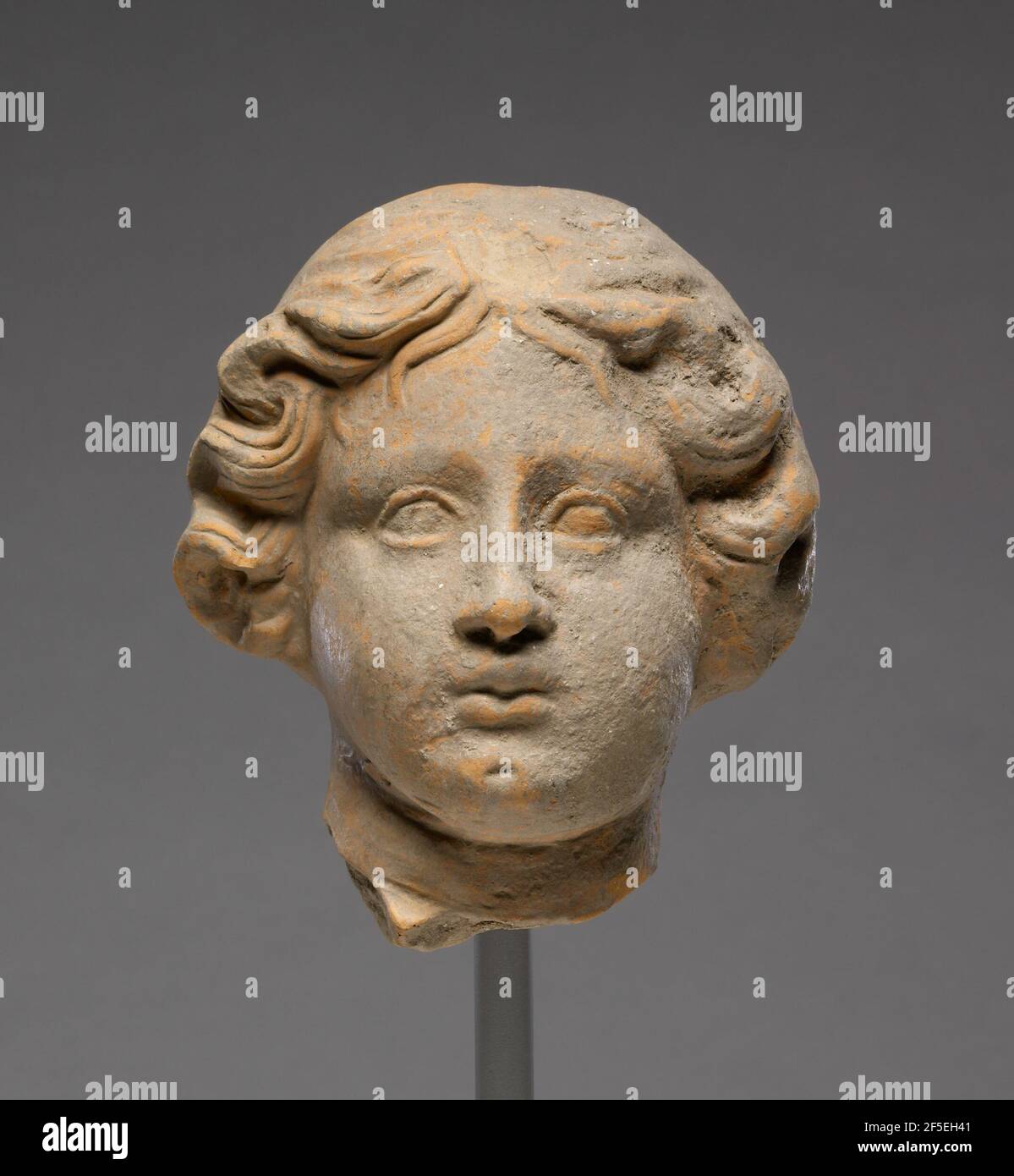 Head of a Woman. Unknown Stock Photo - Alamy