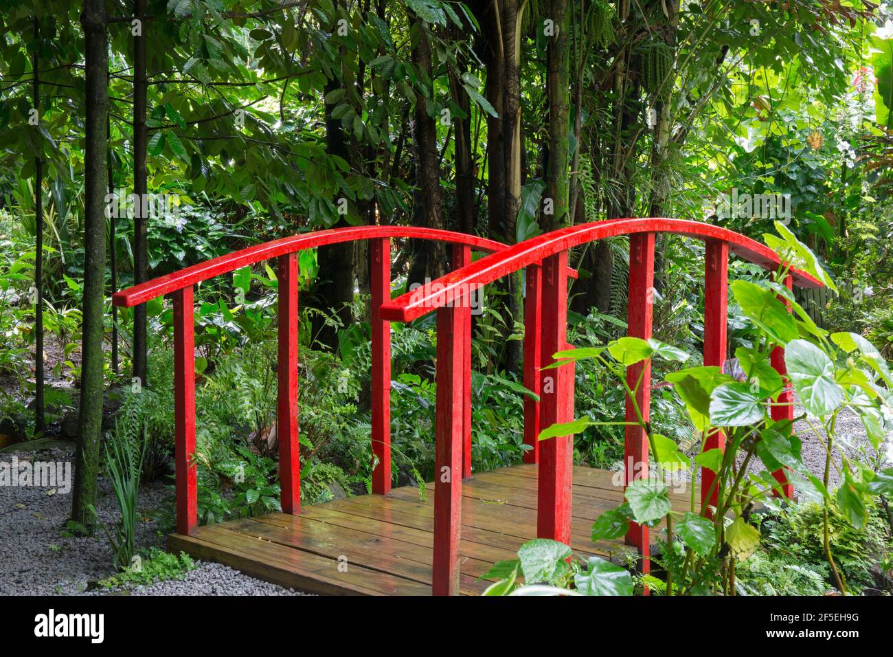 Soufriere, St Lucia. Quaint red wooden bridge amidst tropical ...