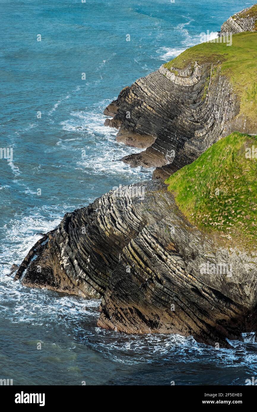 Folded strata in the Llandovery Series of Silurian rocks in cliffs at ...