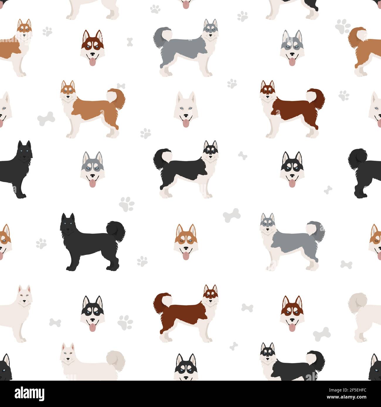 Siberian husky poses, coat colors seamless pattern. Vector illustration ...