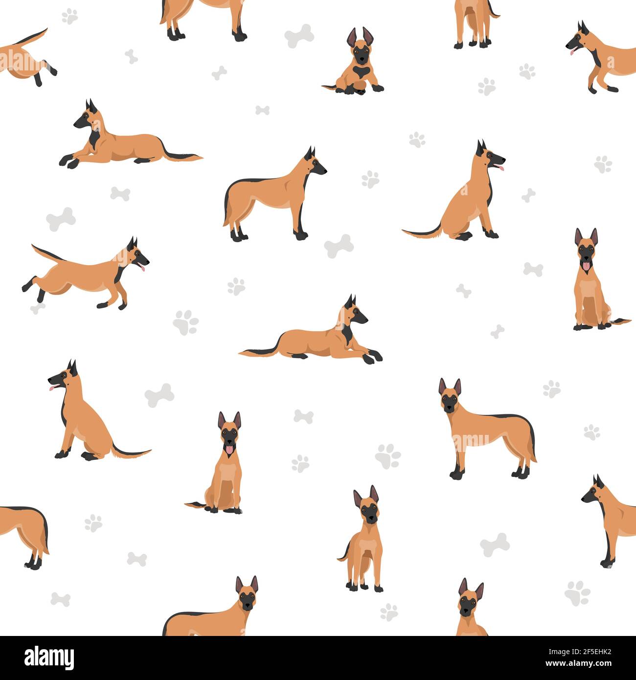 Belgian shepherd malinois seamless pattern. Different poses, coat ...