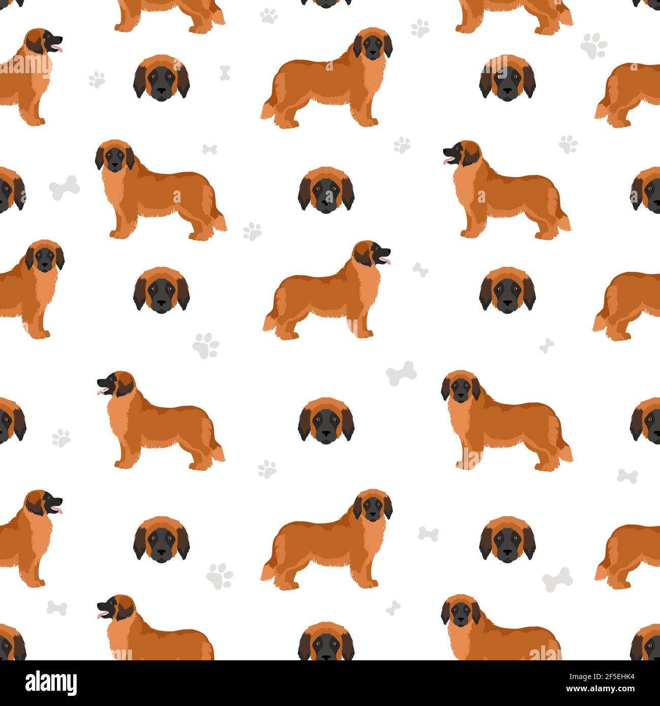 Leonberger seamless pattern. Different poses, coat colors set. Vector ...
