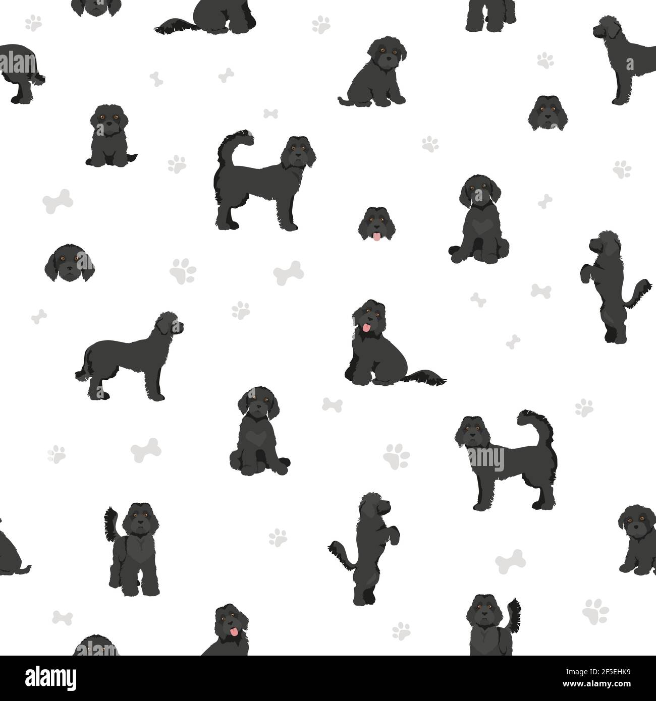 Labradoodle seamless pattern. Different poses, coat colors set. Vector ...