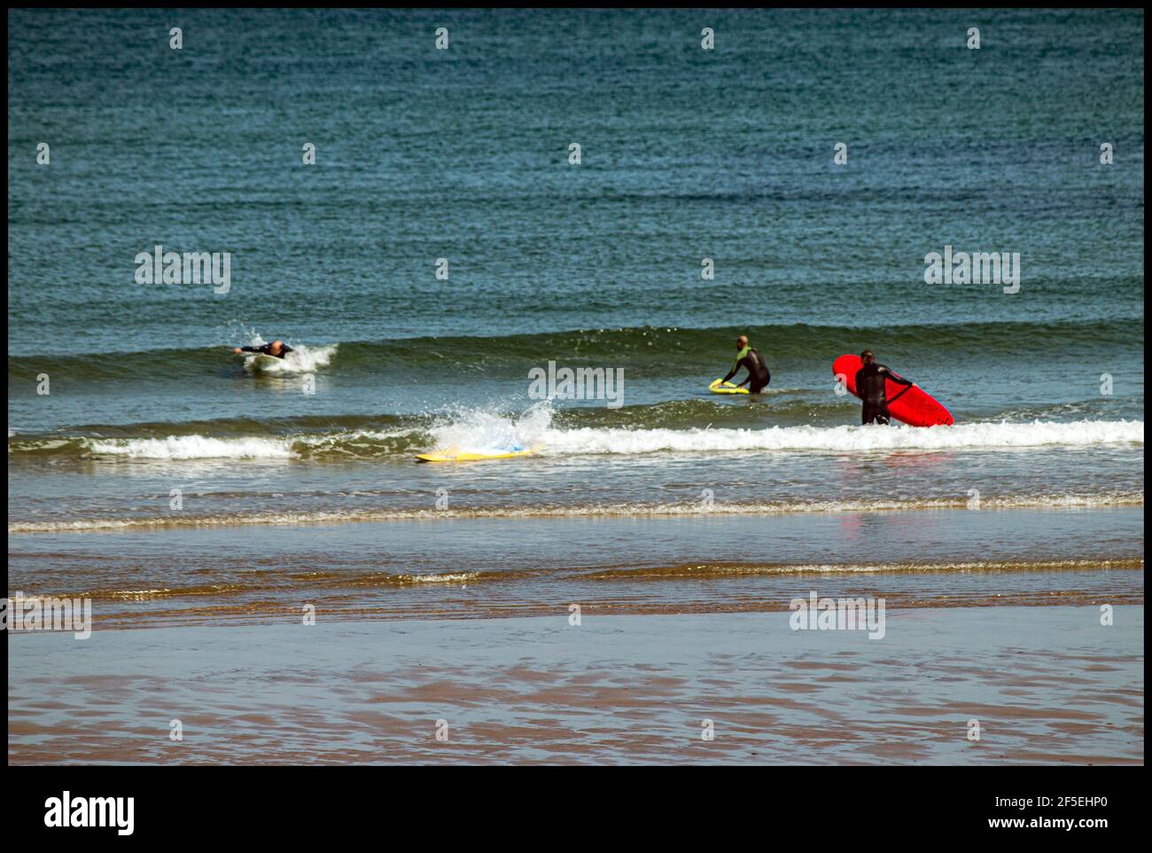 Lets go surfing Stock Photo - Alamy