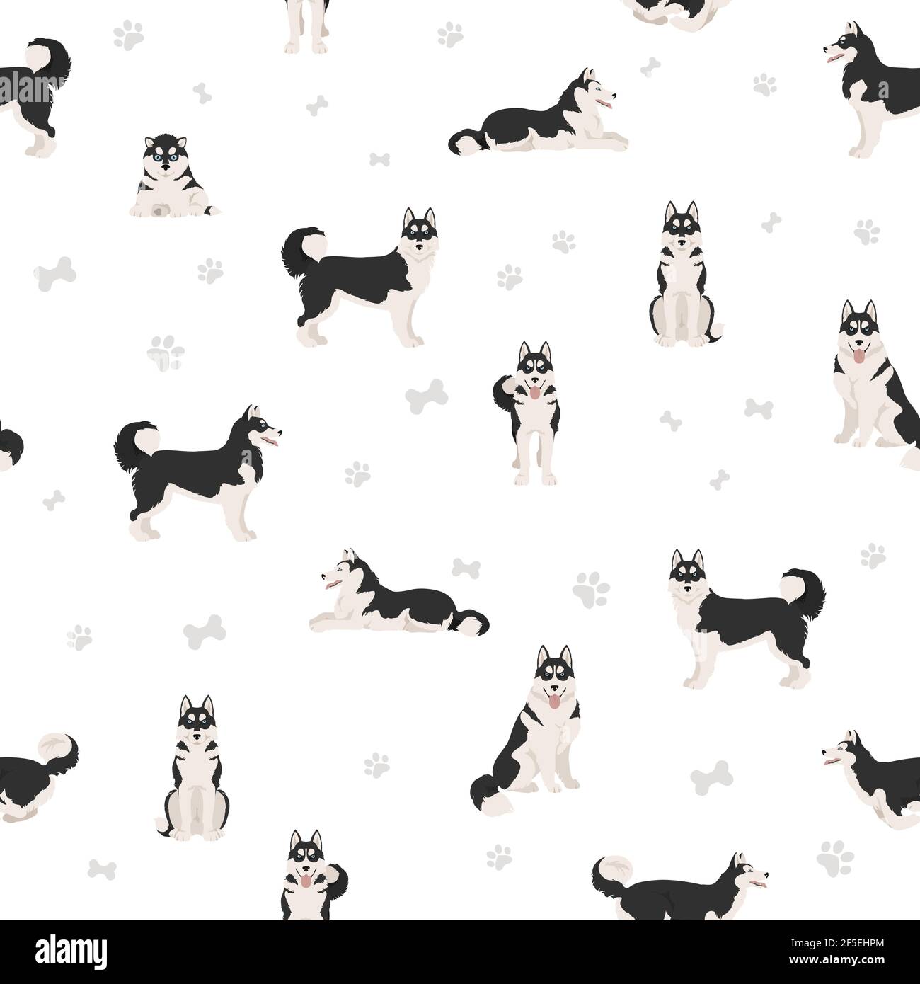 Siberian husky poses, coat colors seamless pattern. Vector illustration ...