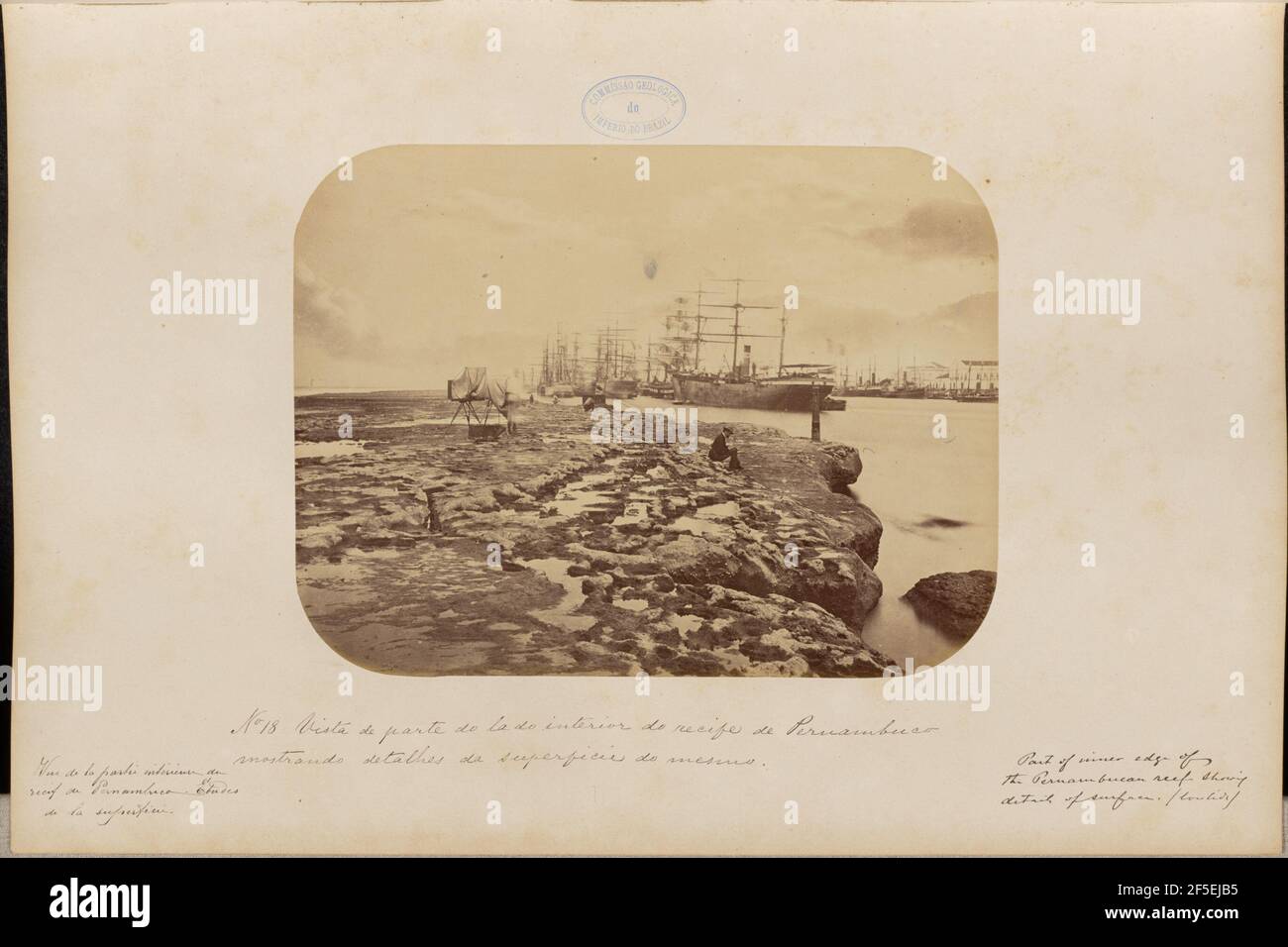 Vista de parte de la du interior do recife de Pernambuco mostrando ...