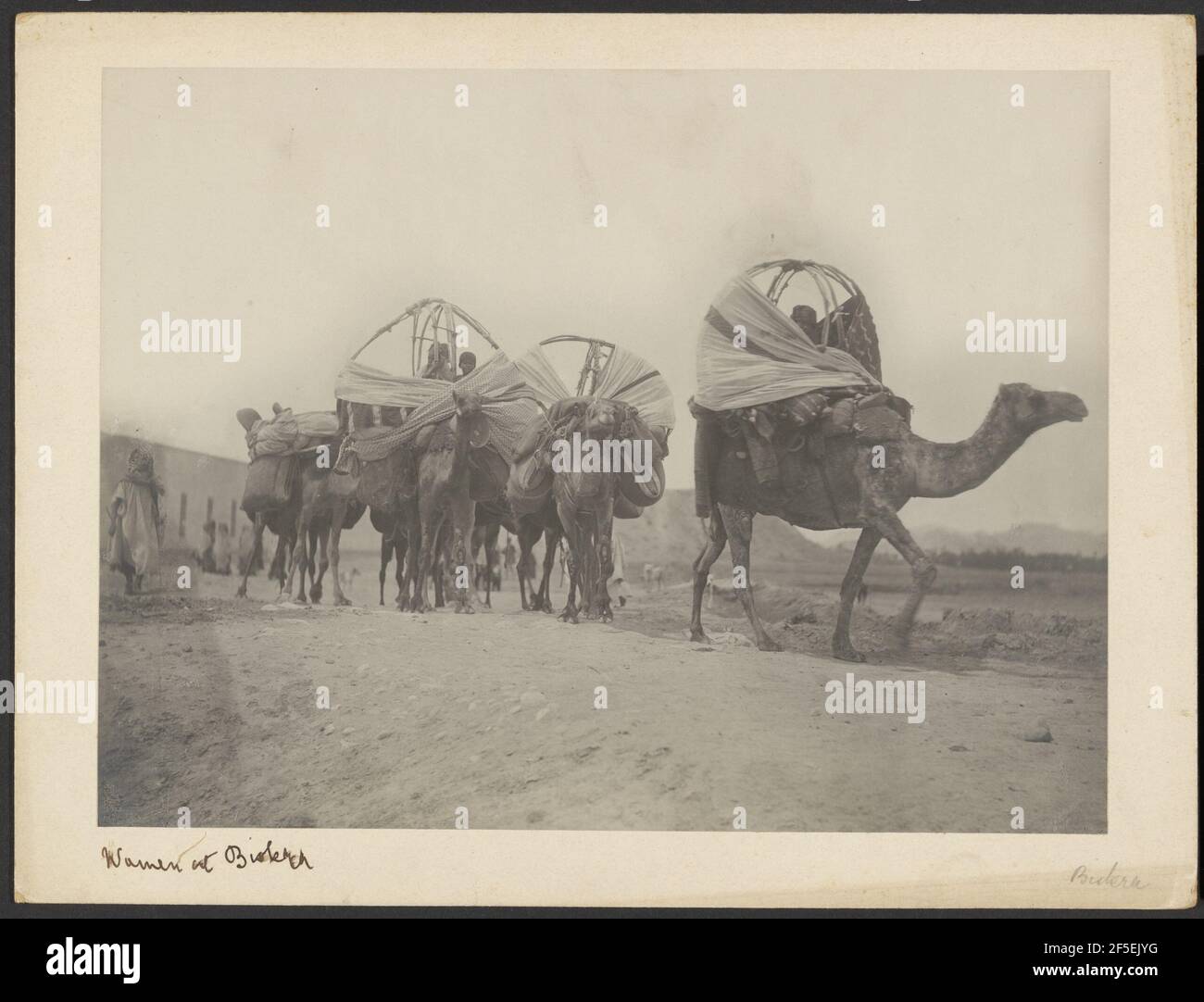 Biskra : caravane dans le sud. Jean Geiser (Swiss, 1848 - 1923 Stock ...