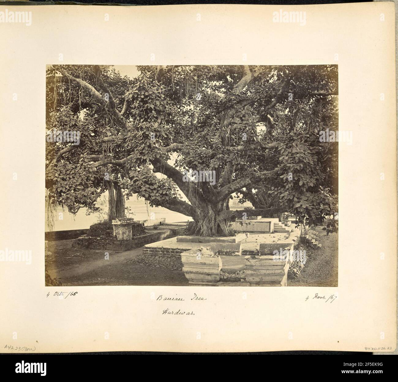 View several stone steps hi-res stock photography and images - Alamy