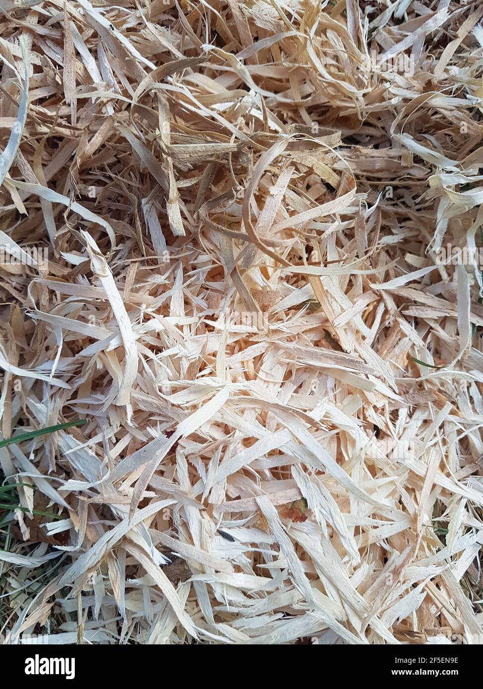 Wood shavings and chips texture closeup Stock Photo - Alamy