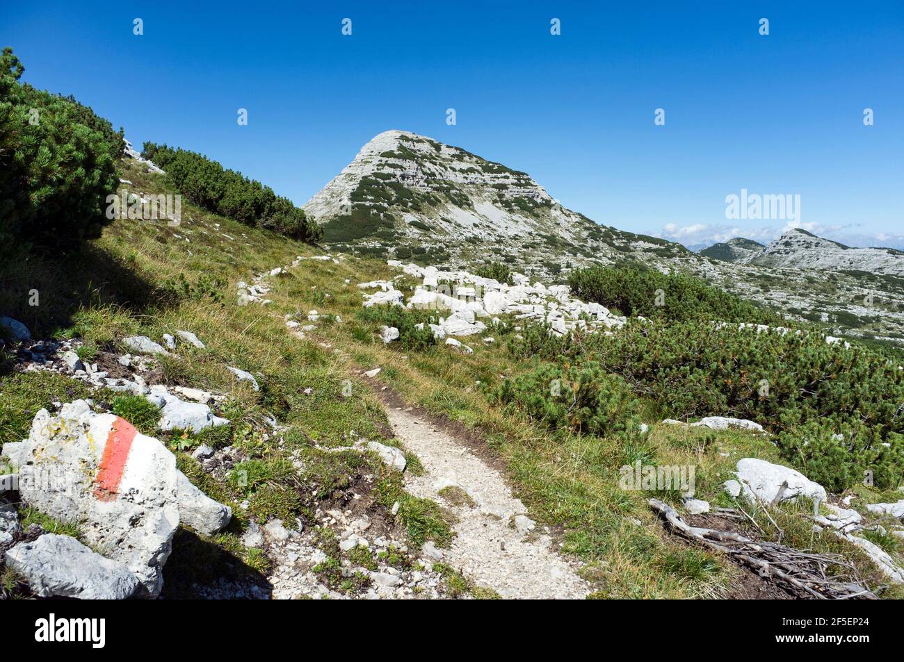 Mountain path towards the Cima 12, Plateau of Asiago, Vicenza, Italy ...