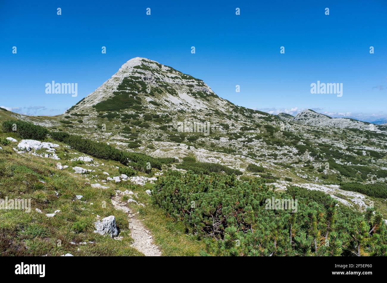 Asiago vicenza hi-res stock photography and images - Alamy