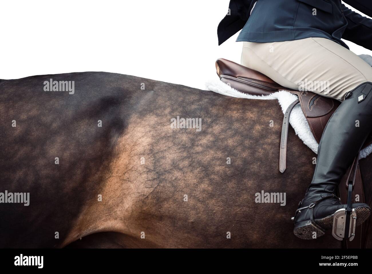 Abstract art of horse i9n full gallop in the competition Stock Photo ...