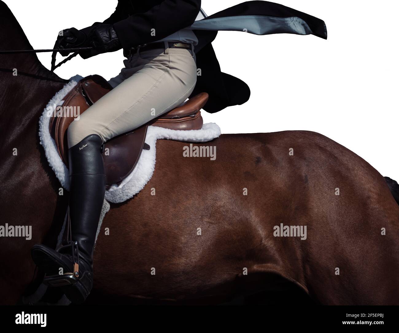 Abstract art of horse i9n full gallop in the competition Stock Photo ...