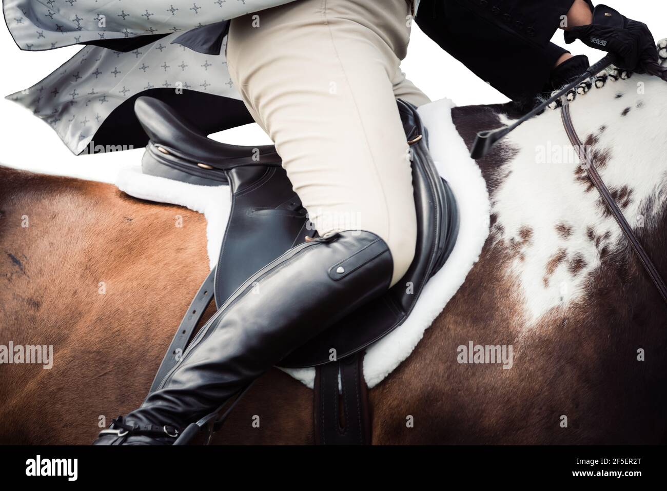 Abstract art of horse i9n full gallop in the competition Stock Photo ...