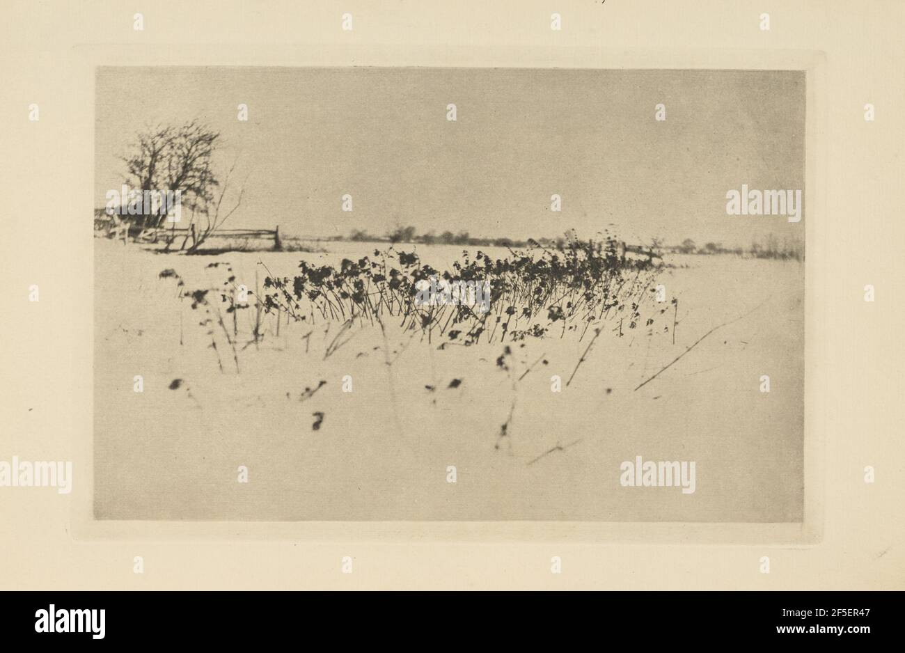 The Snow Garden. Peter Henry Emerson (British, born Cuba, 1856 - 1936 ...