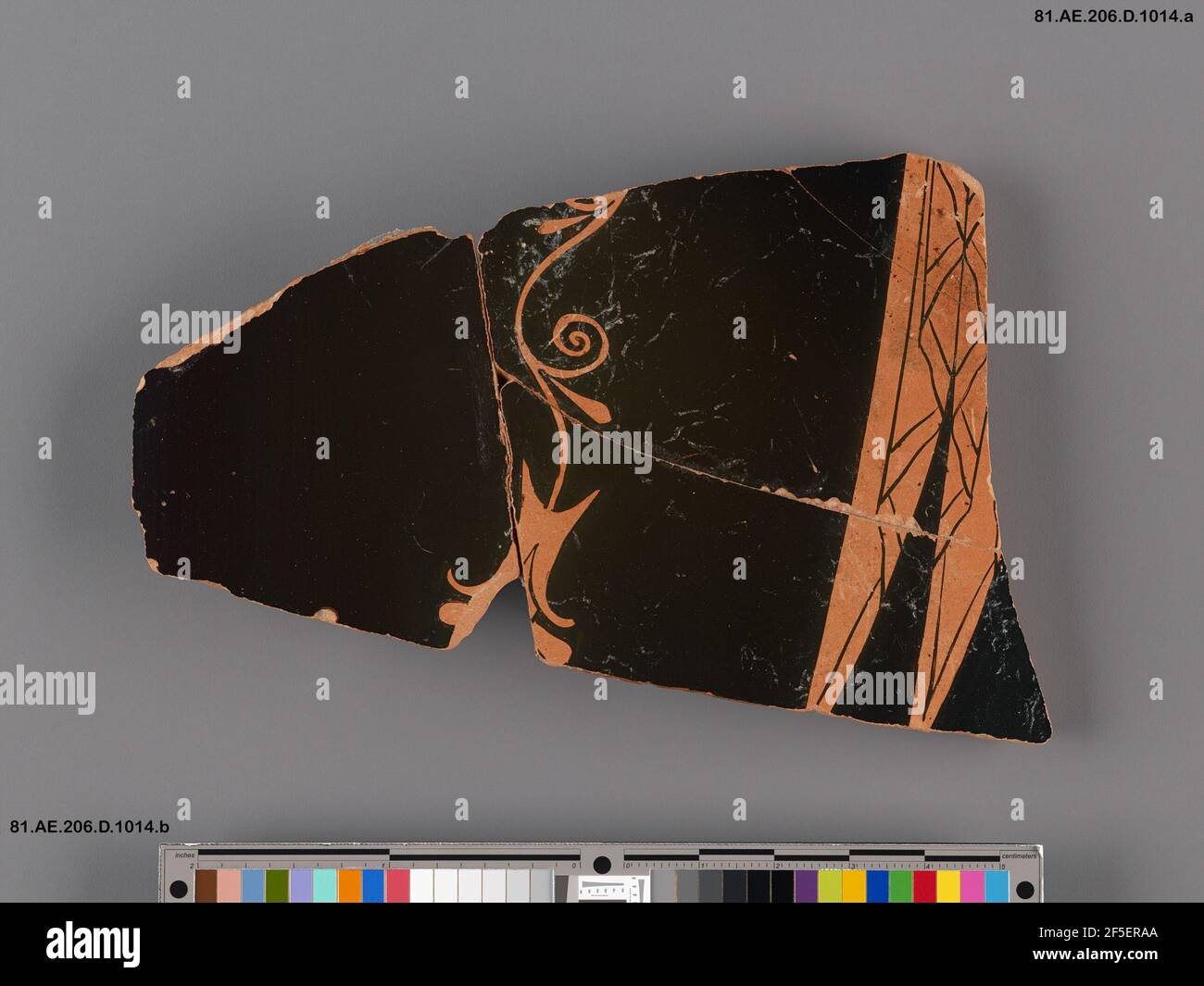 Attic Red-Figure Neck Amphora Fragment. Berlin Painter (Greek (Attic ...