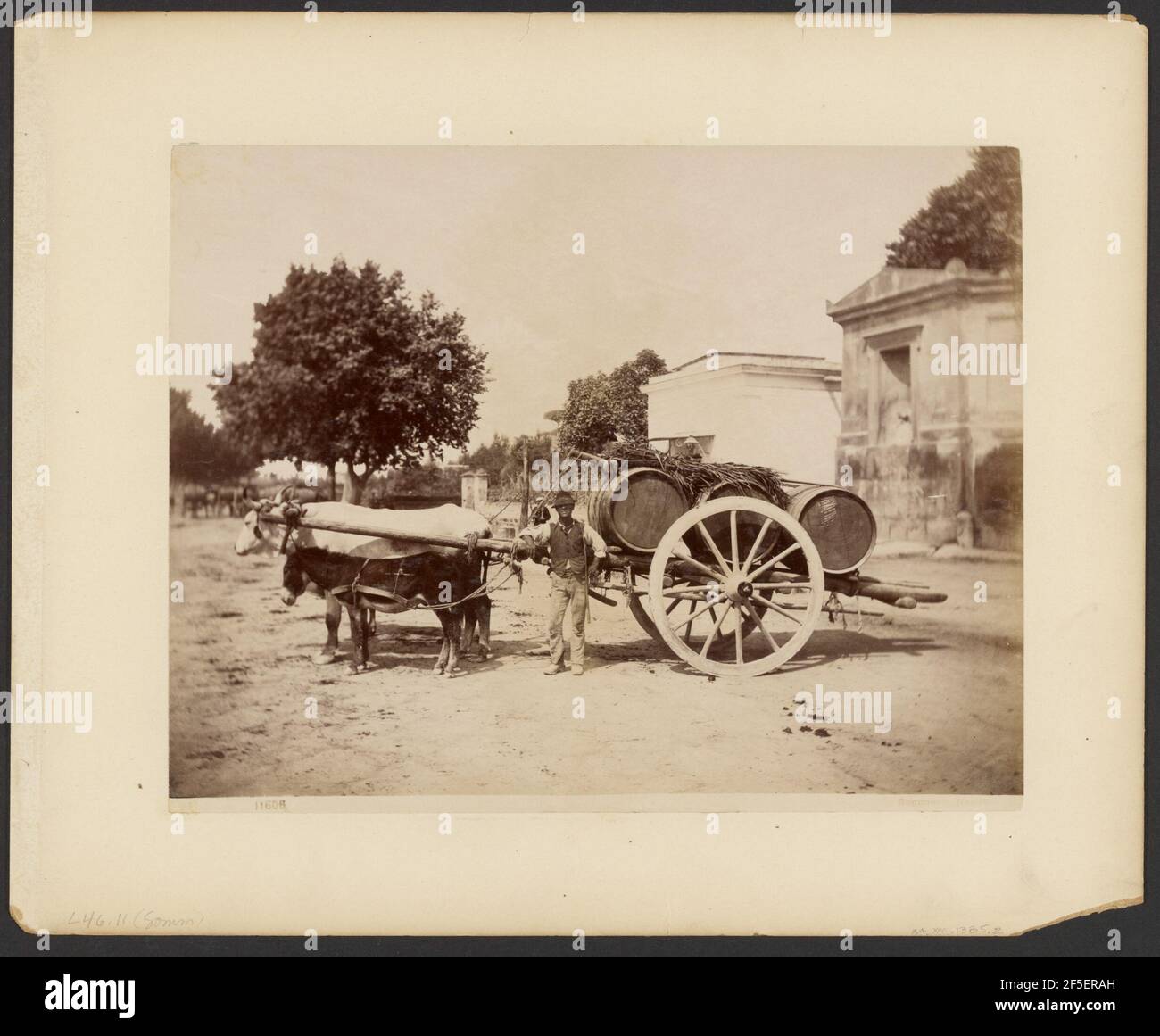 Italian farmer with cart. Giorgio Sommer (Italian, born Germany, 1834 ...