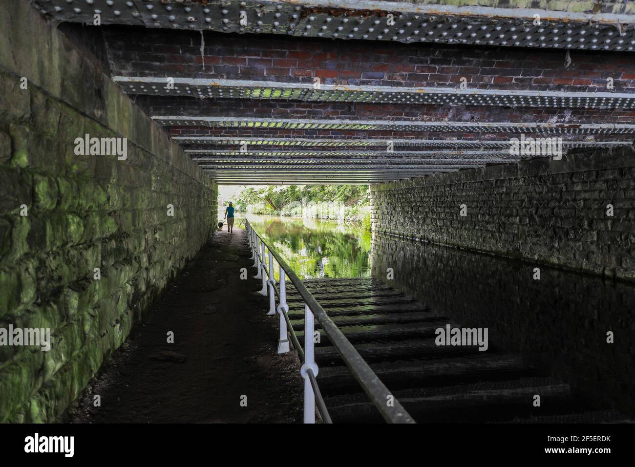 A woman walking her dog under a bridge on the Shropshire Union canal ...