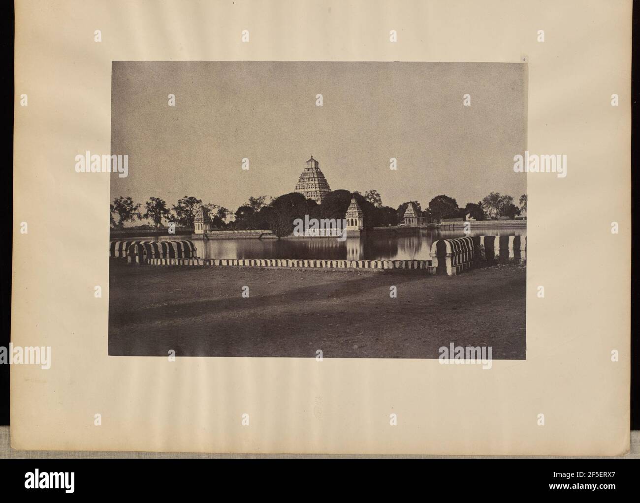 Linnaeus tripe hi-res stock photography and images - Alamy