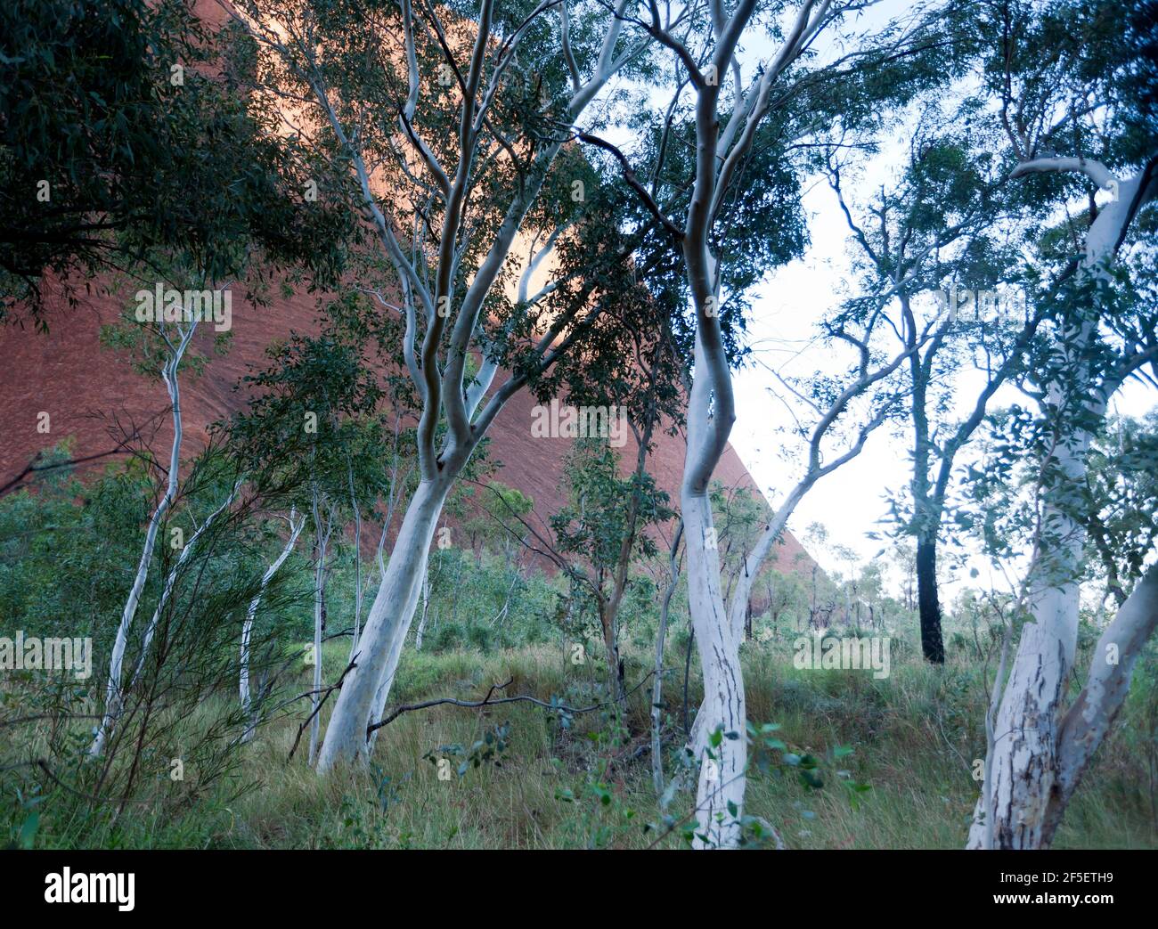 Close-up view of Kata Tjuta in the Uluru–kata tjuta National Park ...