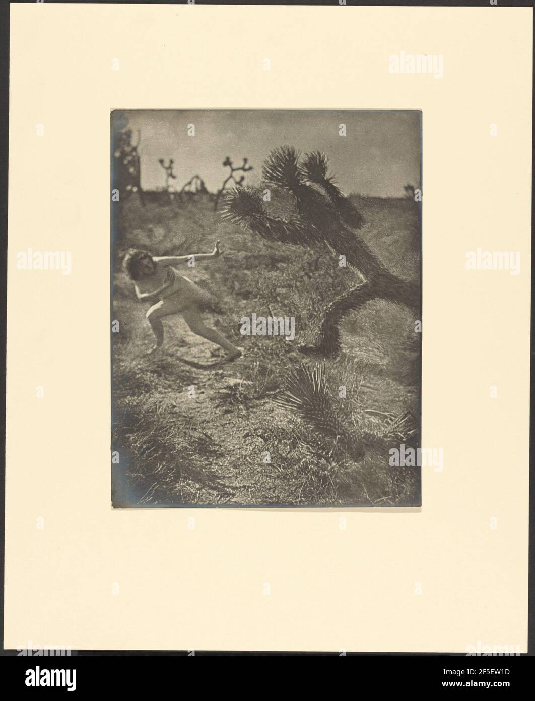 Bogey Man of the Desert. Louis Fleckenstein (American, 1866 - 1943 ...