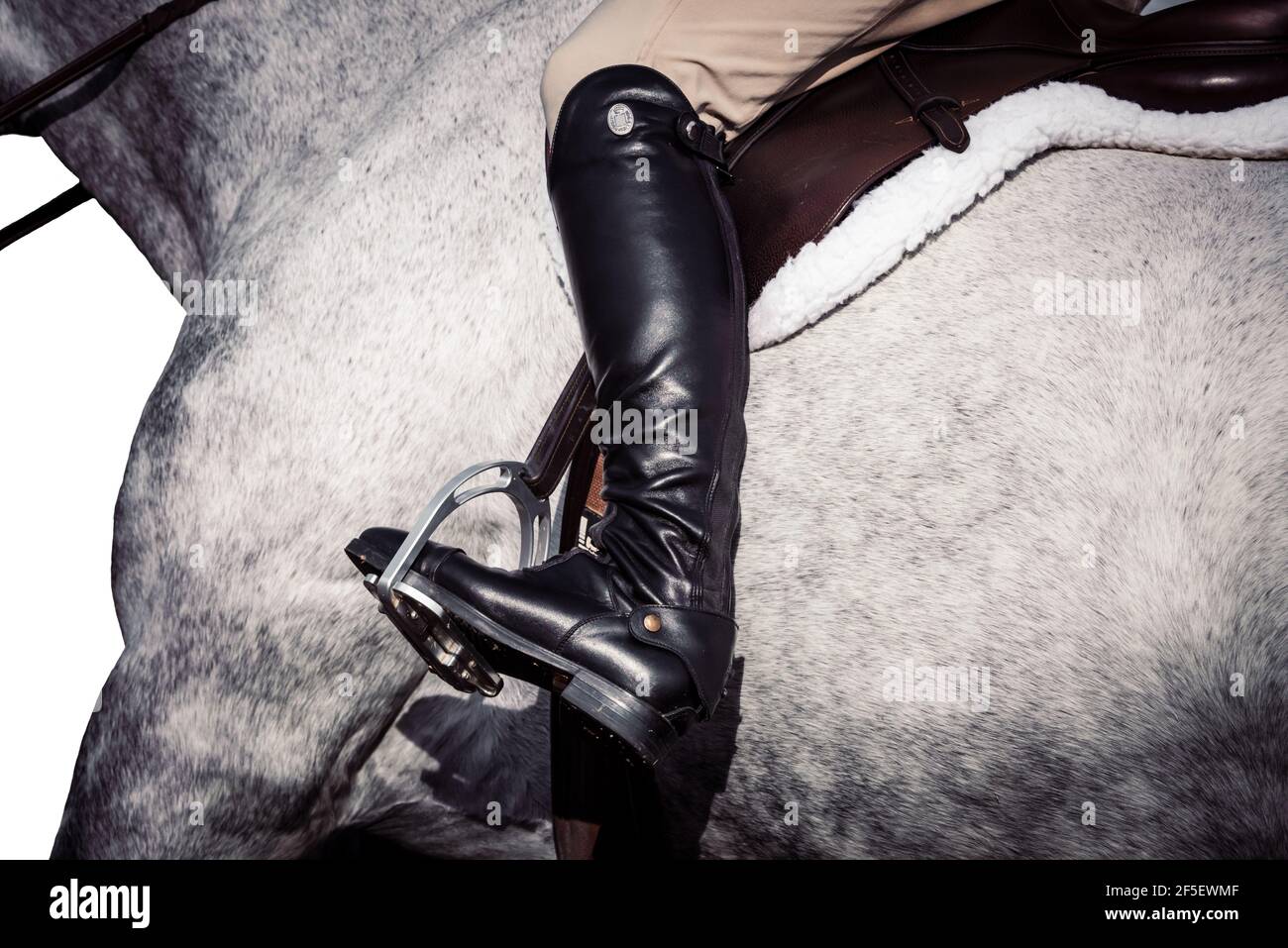 Abstract art of horse i9n full gallop in the competition Stock Photo ...