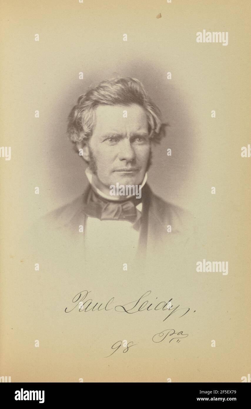 Leidy hi-res stock photography and images - Alamy