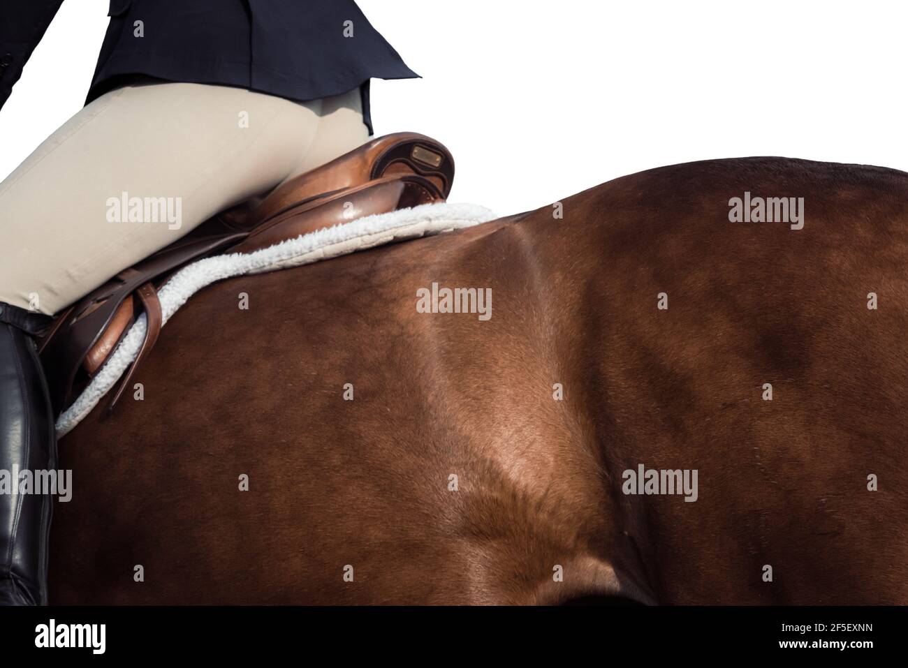 Abstract art of horse i9n full gallop in the competition Stock Photo ...