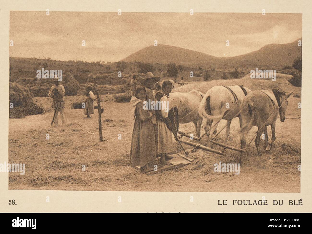 Le Foulage du blé. Frédéric Boissonnas (Swiss, 1858 - 1946 Stock Photo ...
