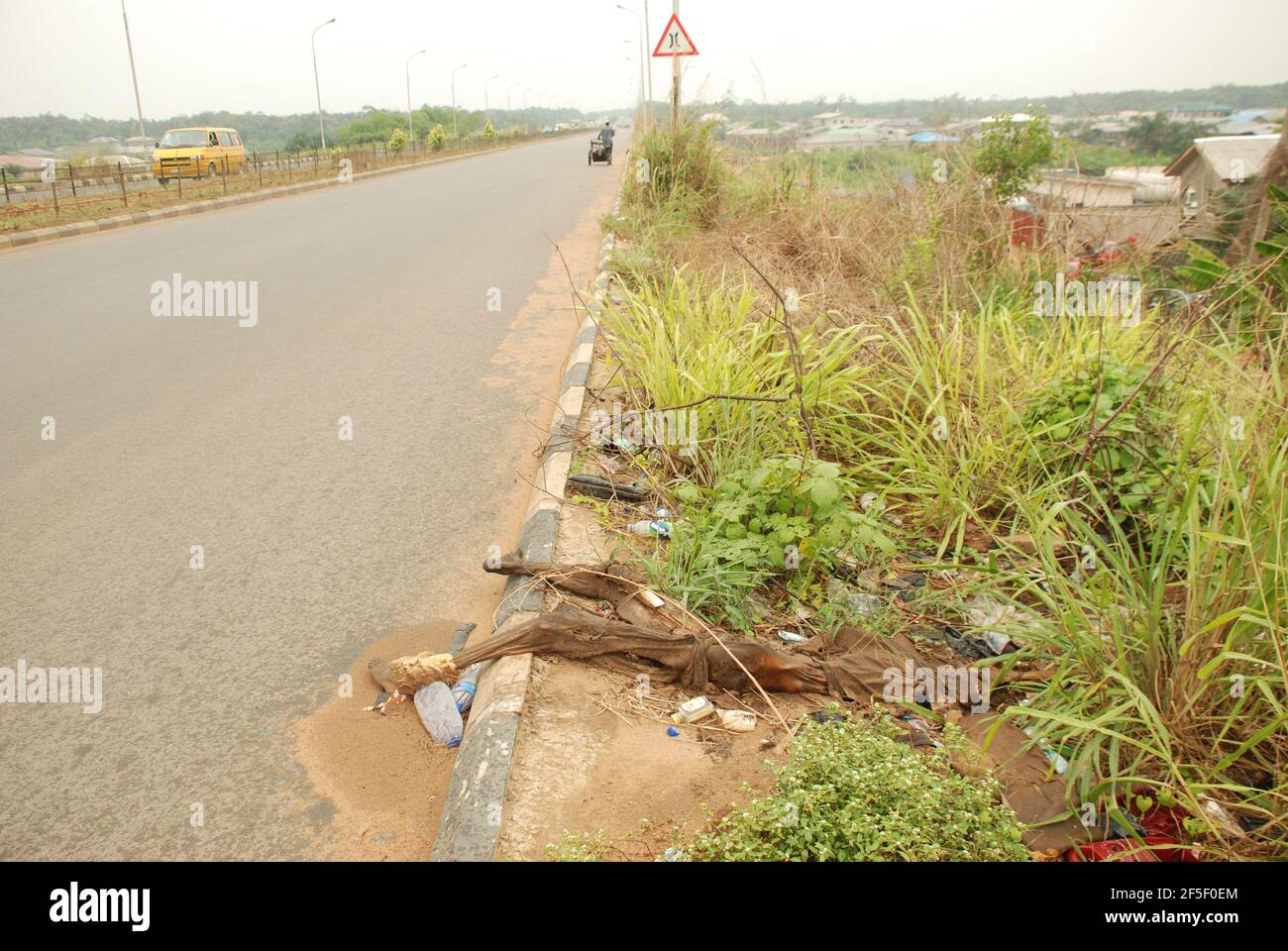 Corpse decomposing hi-res stock photography and images - Alamy