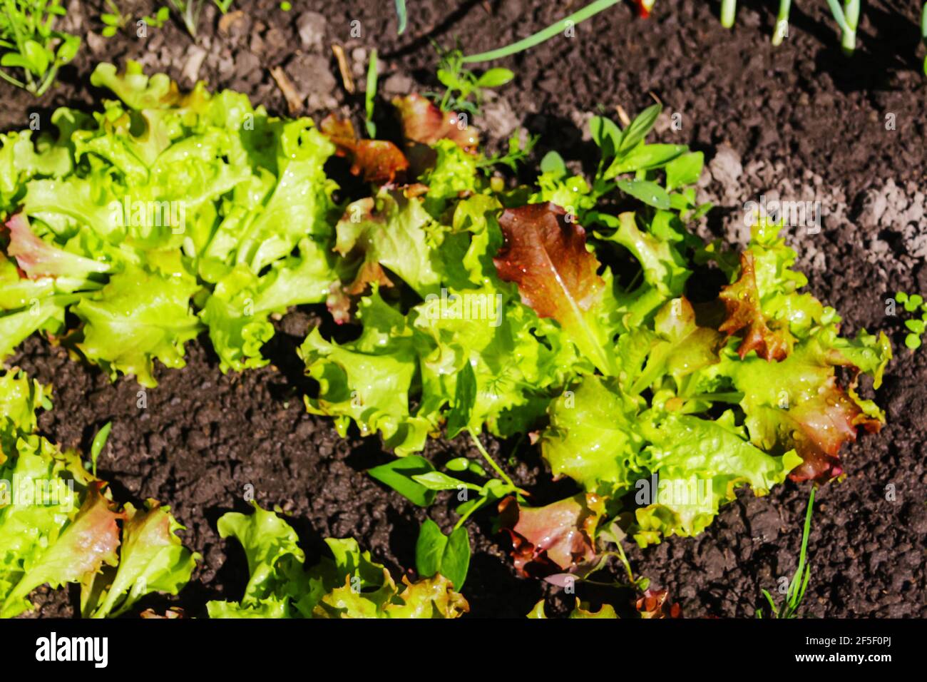 Texture top view hi-res stock photography and images - Alamy