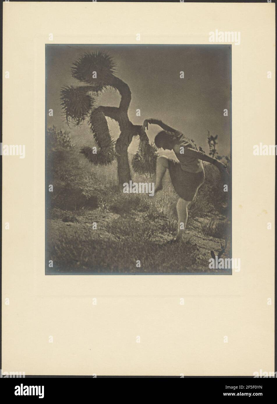 Dancing Spirit of the Joshua - First Lessons. Louis Fleckenstein ...