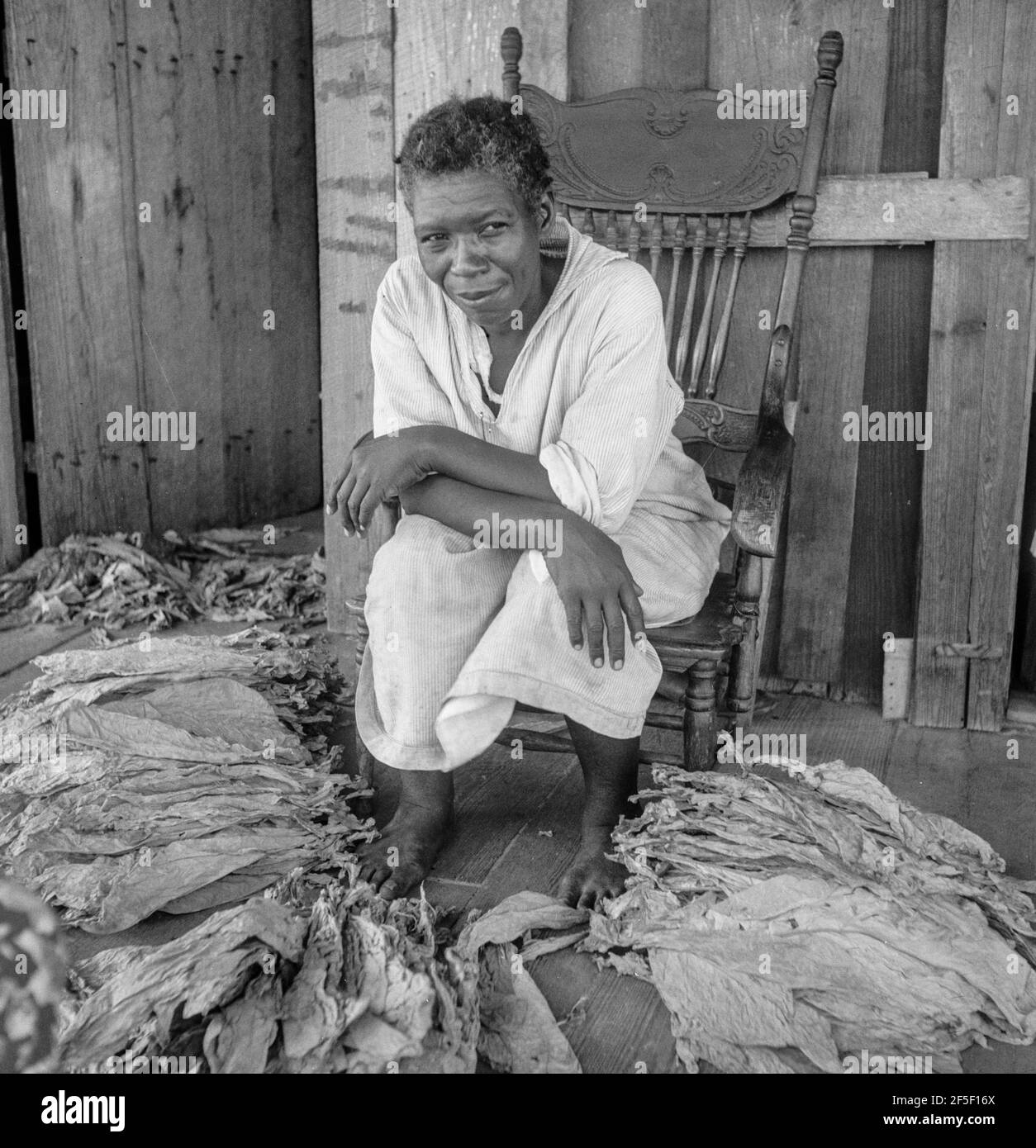 Grade leaves Black and White Stock Photos & Images - Alamy