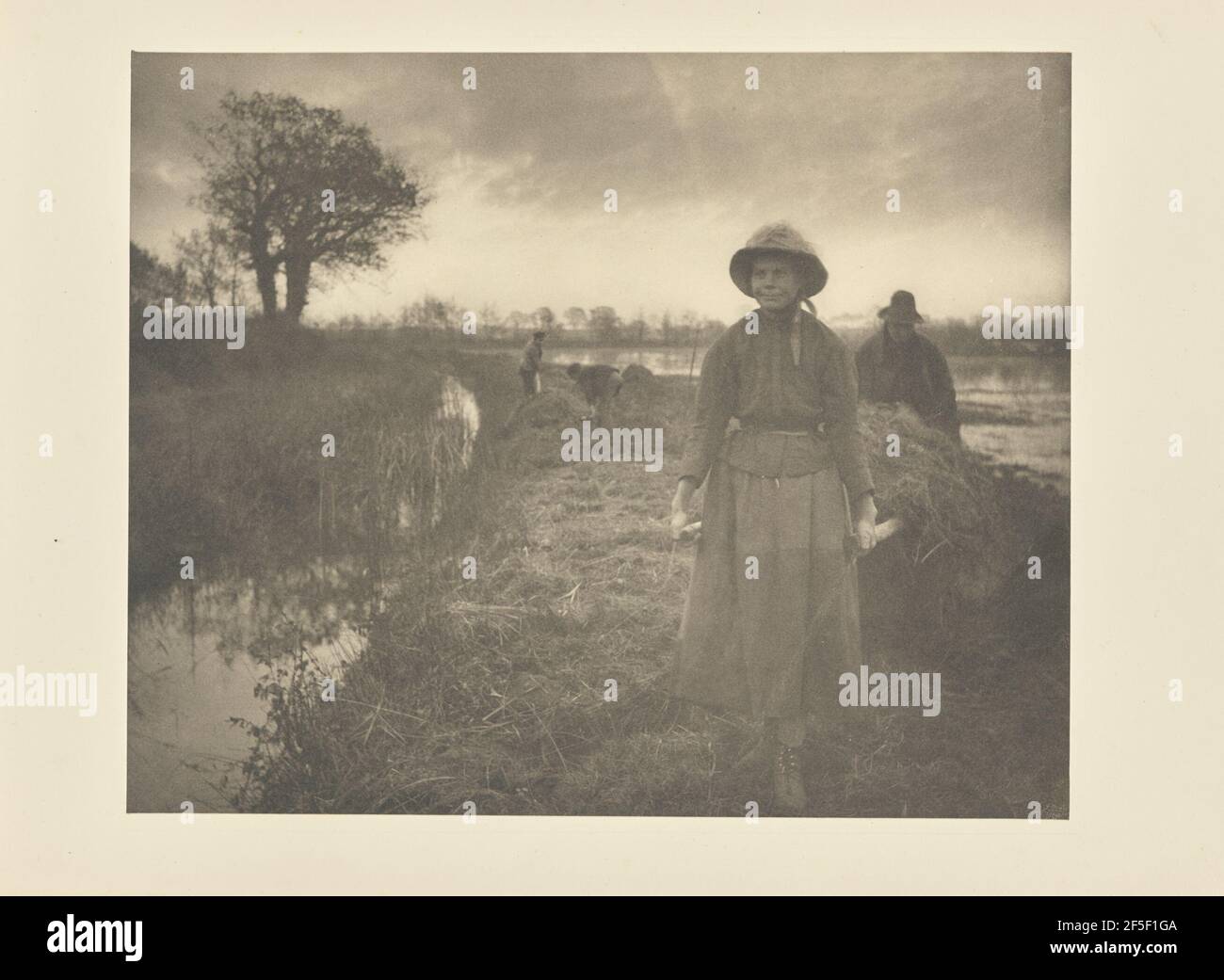 Poling the marsh hay hi-res stock photography and images - Alamy