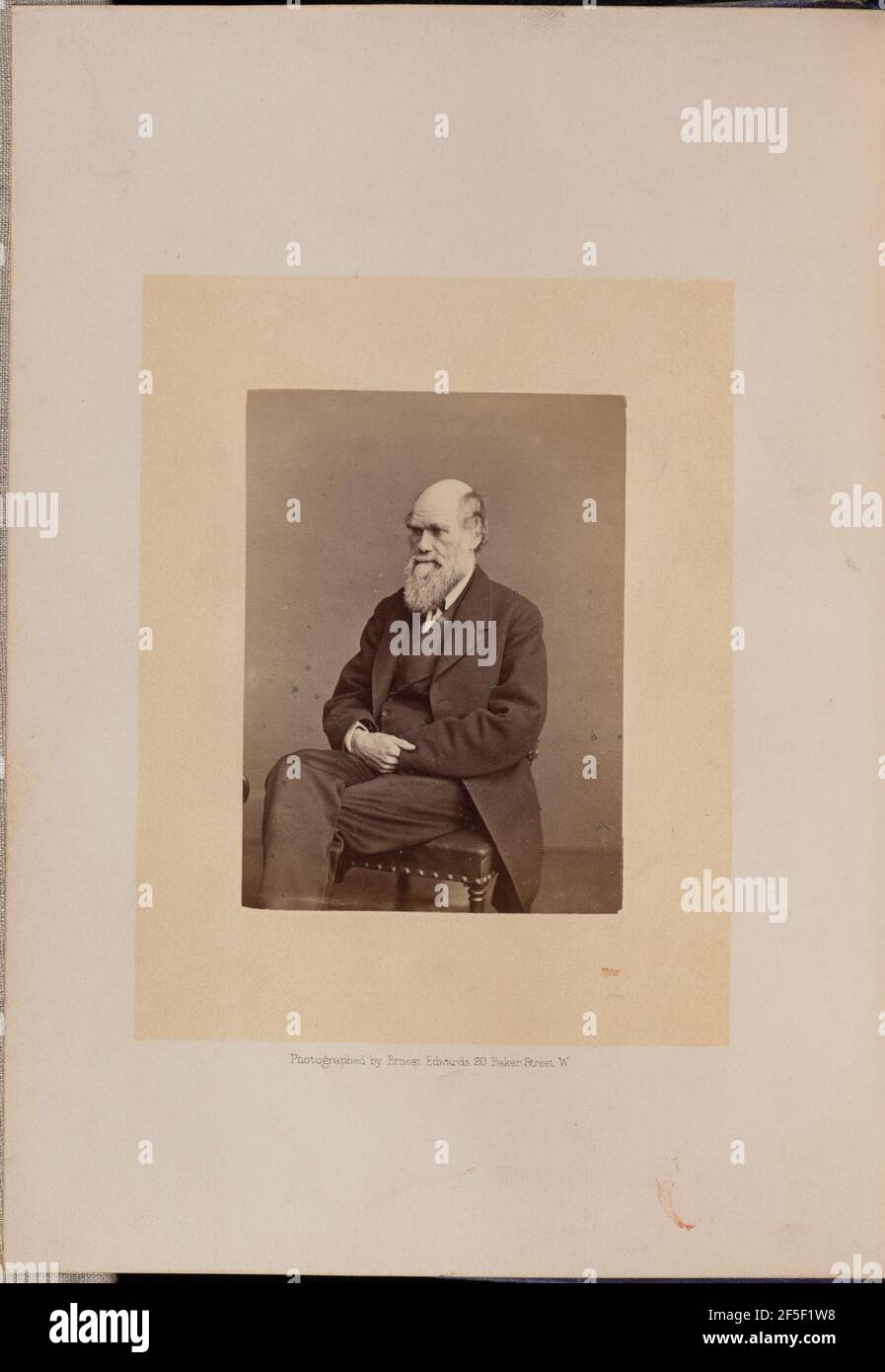 Charles Robert Darwin. Ernest H. Edwards (British, 1837 - 1903 Stock ...