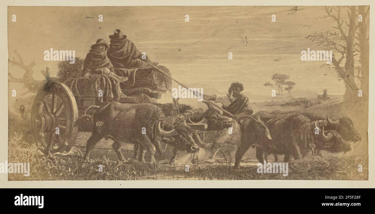 Buffalo pulling a cart. Possibly Gustavo Reiger (Italian, active Rome ...