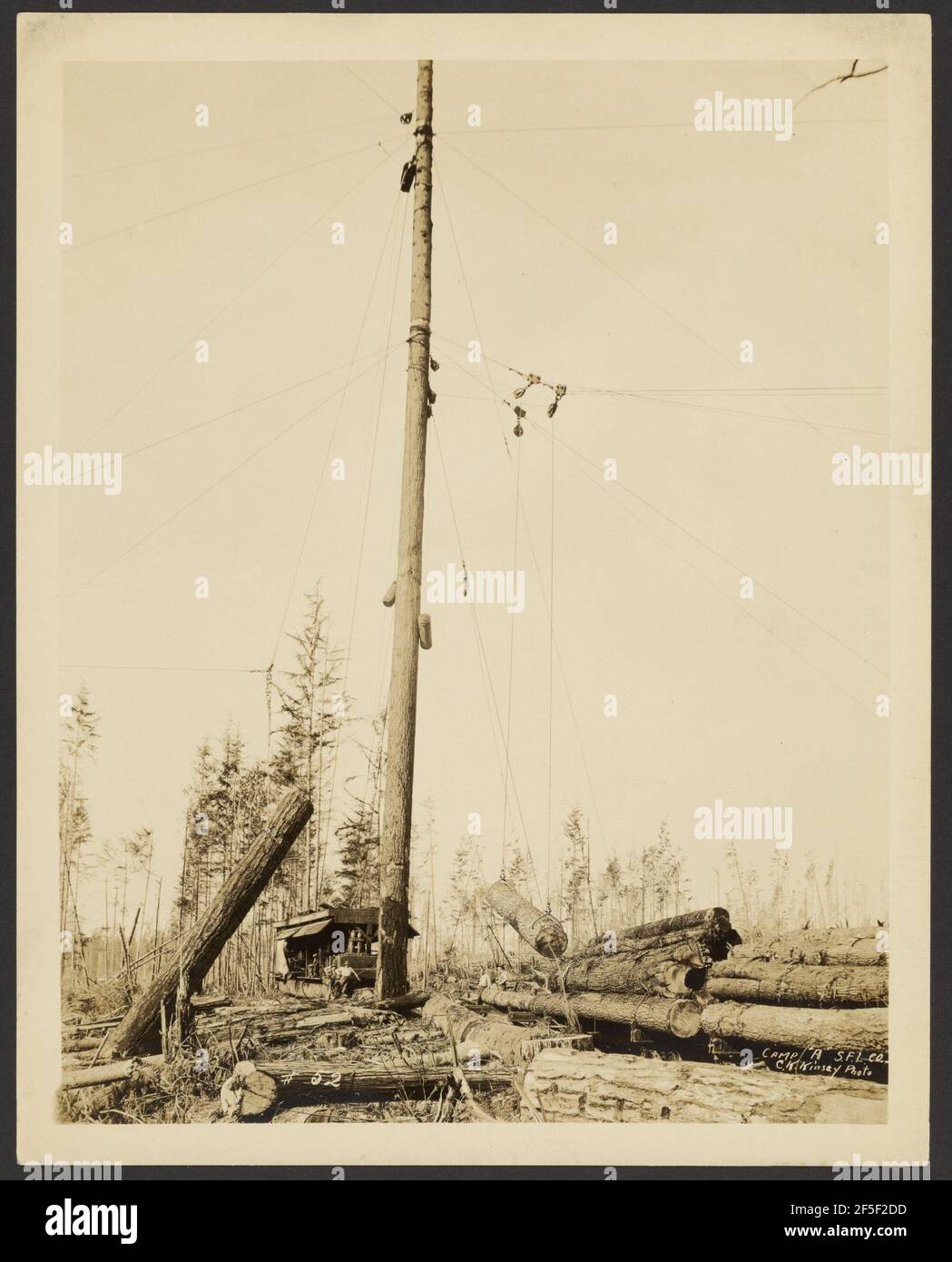 Darius Kinsey High Resolution Stock Photography and Images - Alamy