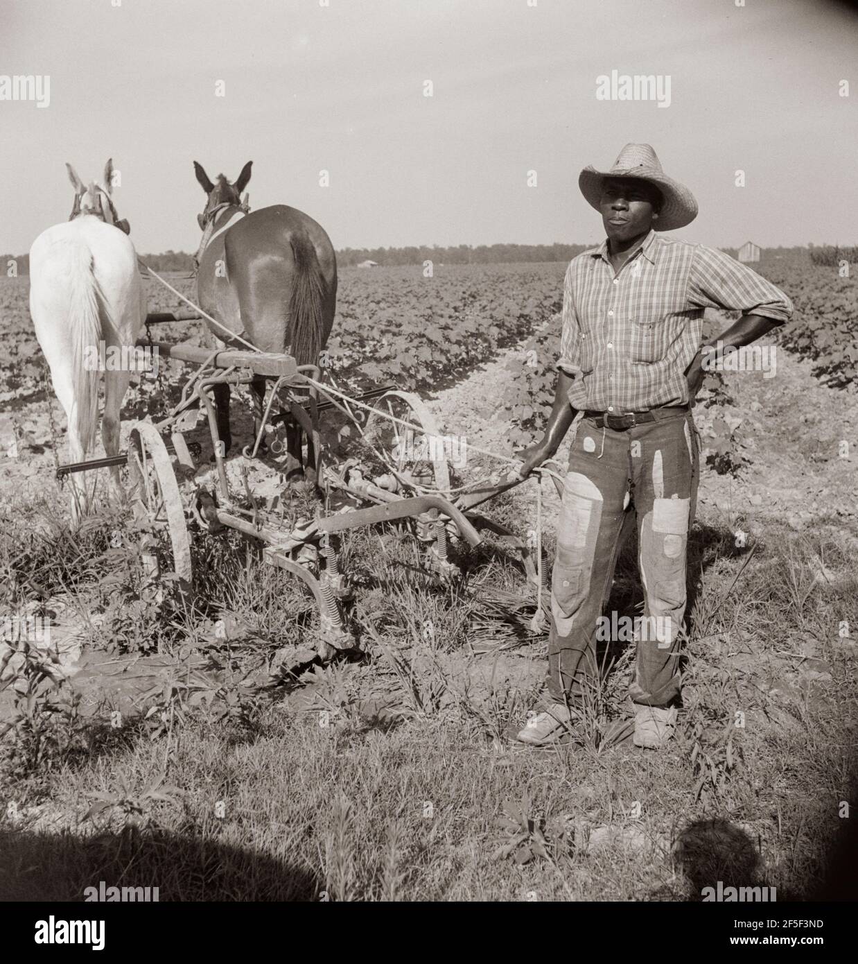 Negro sharecropper near Lake Dick, Arkansas. June 1938. Photograph by ...