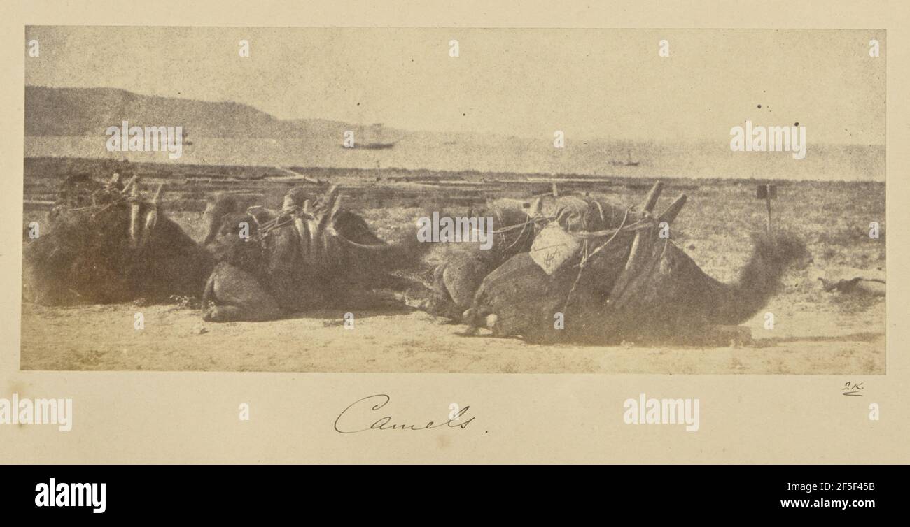 John kirk hi-res stock photography and images - Alamy