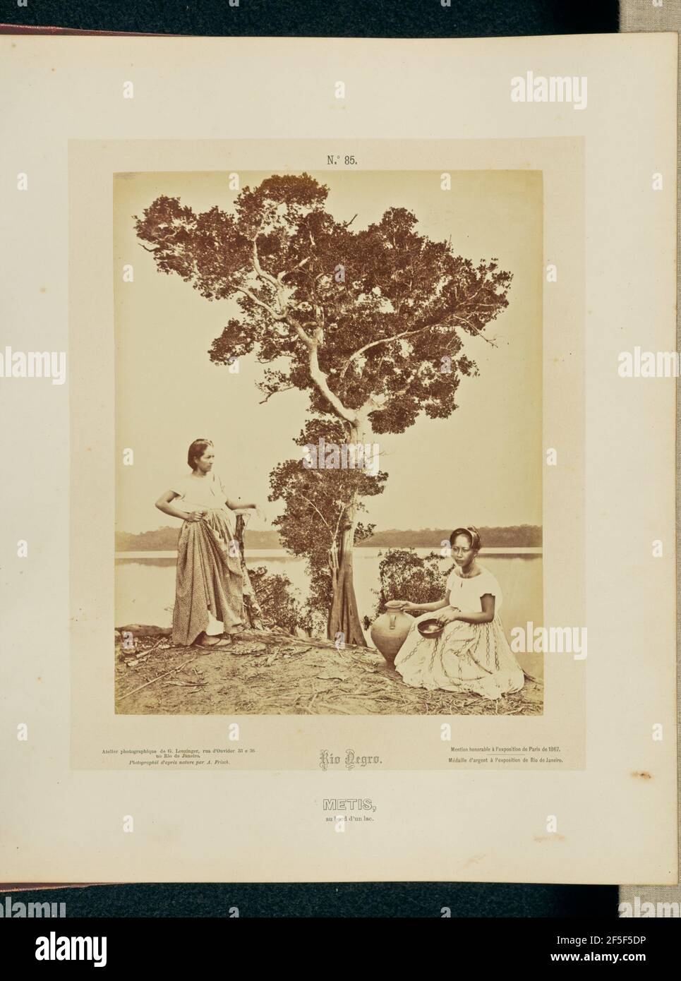 Metis. Albert Frisch (German, 1840 - 1918 Stock Photo - Alamy