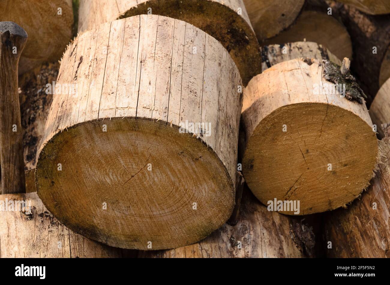 Cross section view hi-res stock photography and images - Alamy