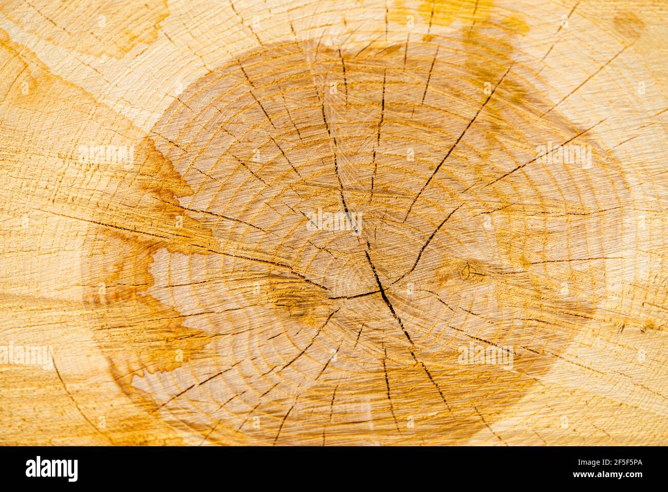 closed-up wood background, textured surface Stock Photo - Alamy