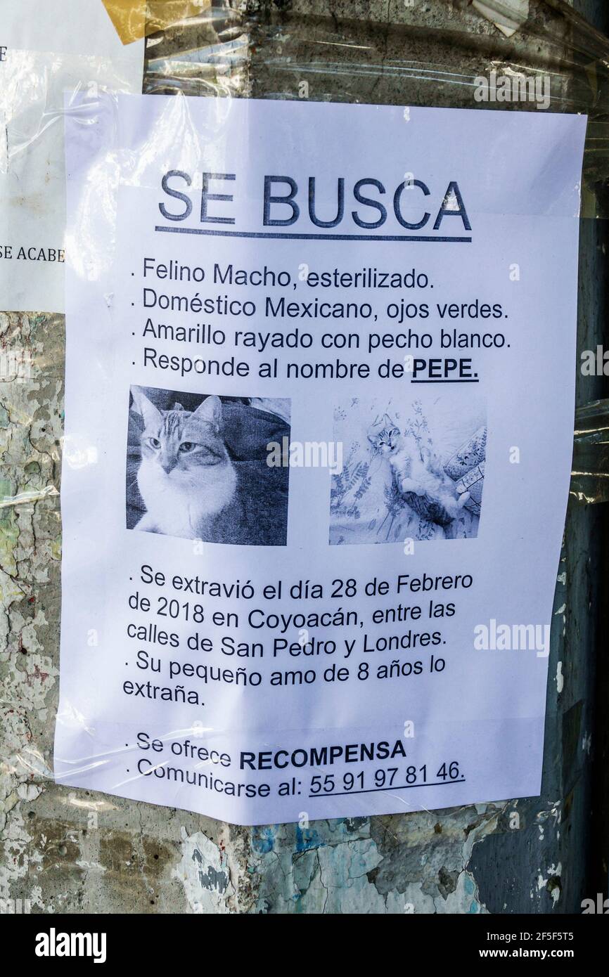 Mexico Mexico City Ciudad de Federal District Distrito DF D.F. CDMX ...