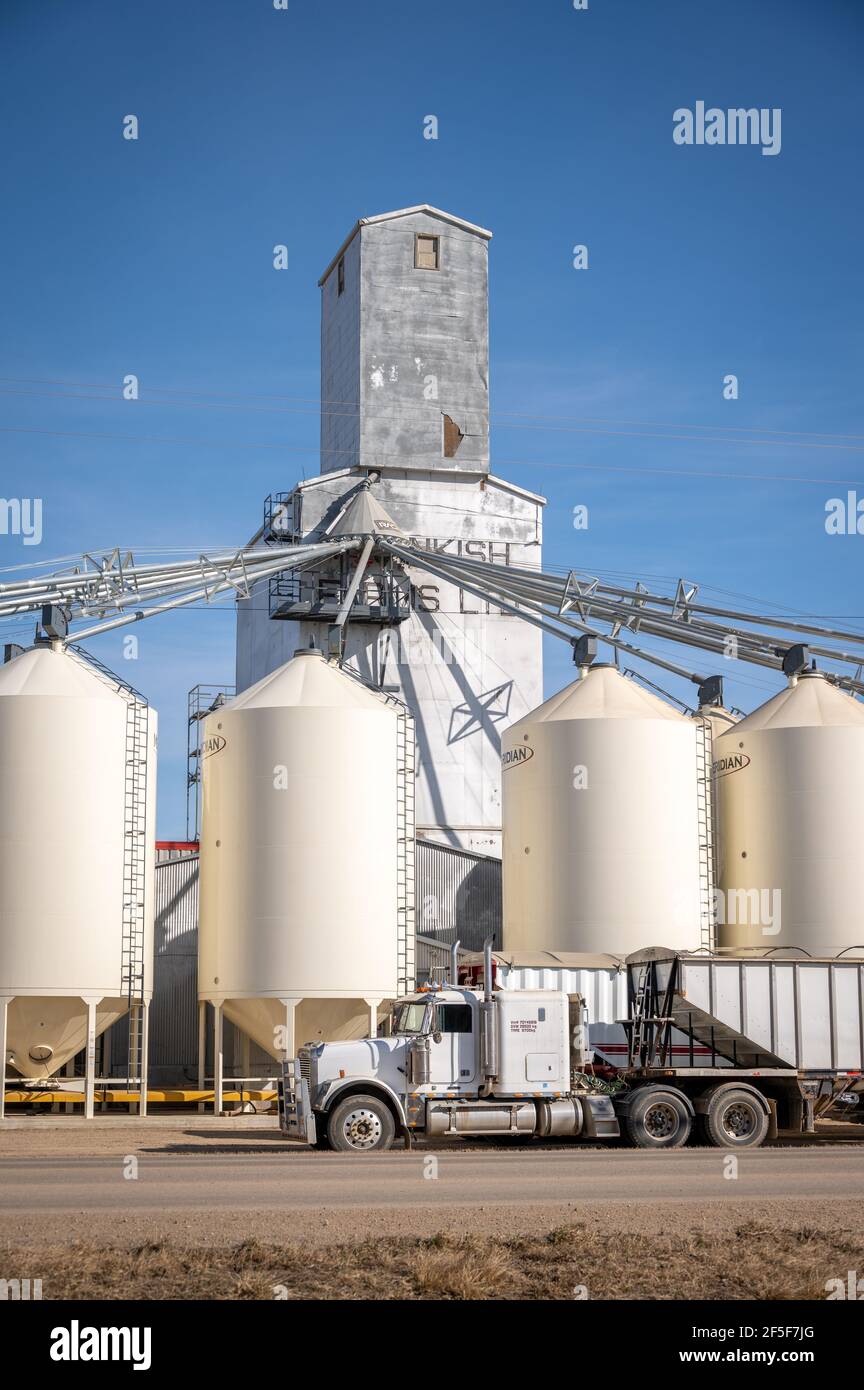 Grain elevator in the town of Foremost Alberta Stock Photo - Alamy